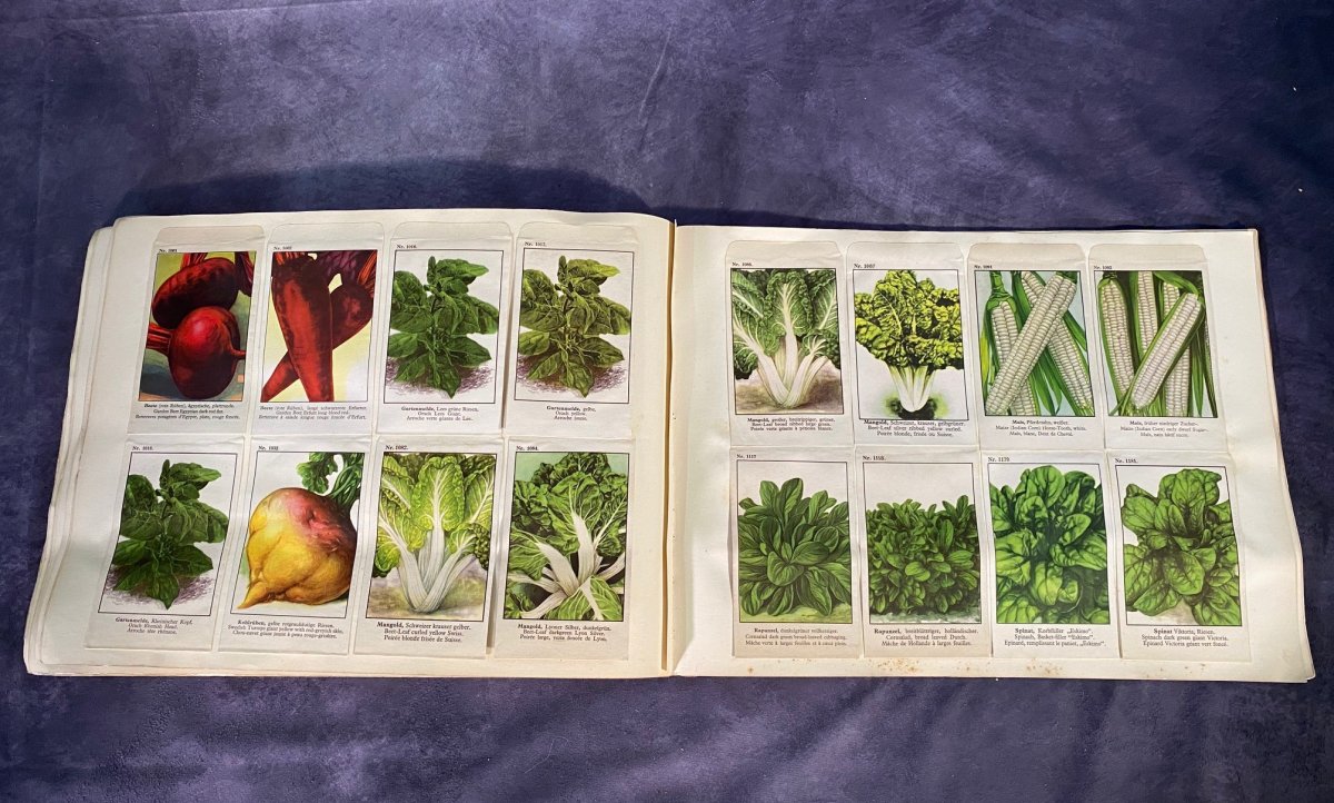 Proantic: Large German Catalog Of Seeds For Flowers And Vegetables