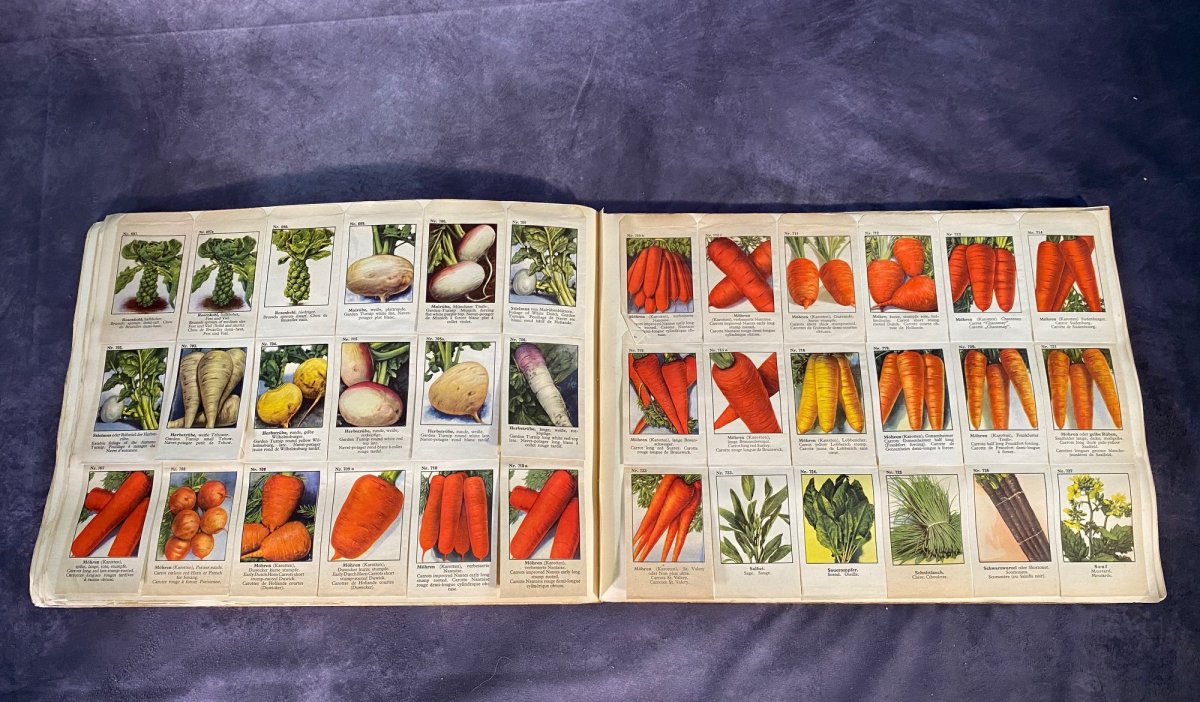 Proantic: Large German Catalog Of Seeds For Flowers And Vegetables