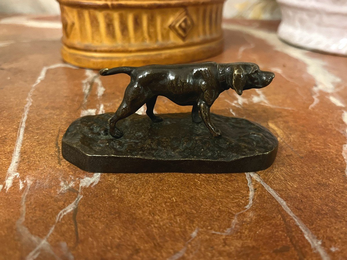 Proantic: Animal Bronze, Hunting Dog, Pointer, French School Of The 19