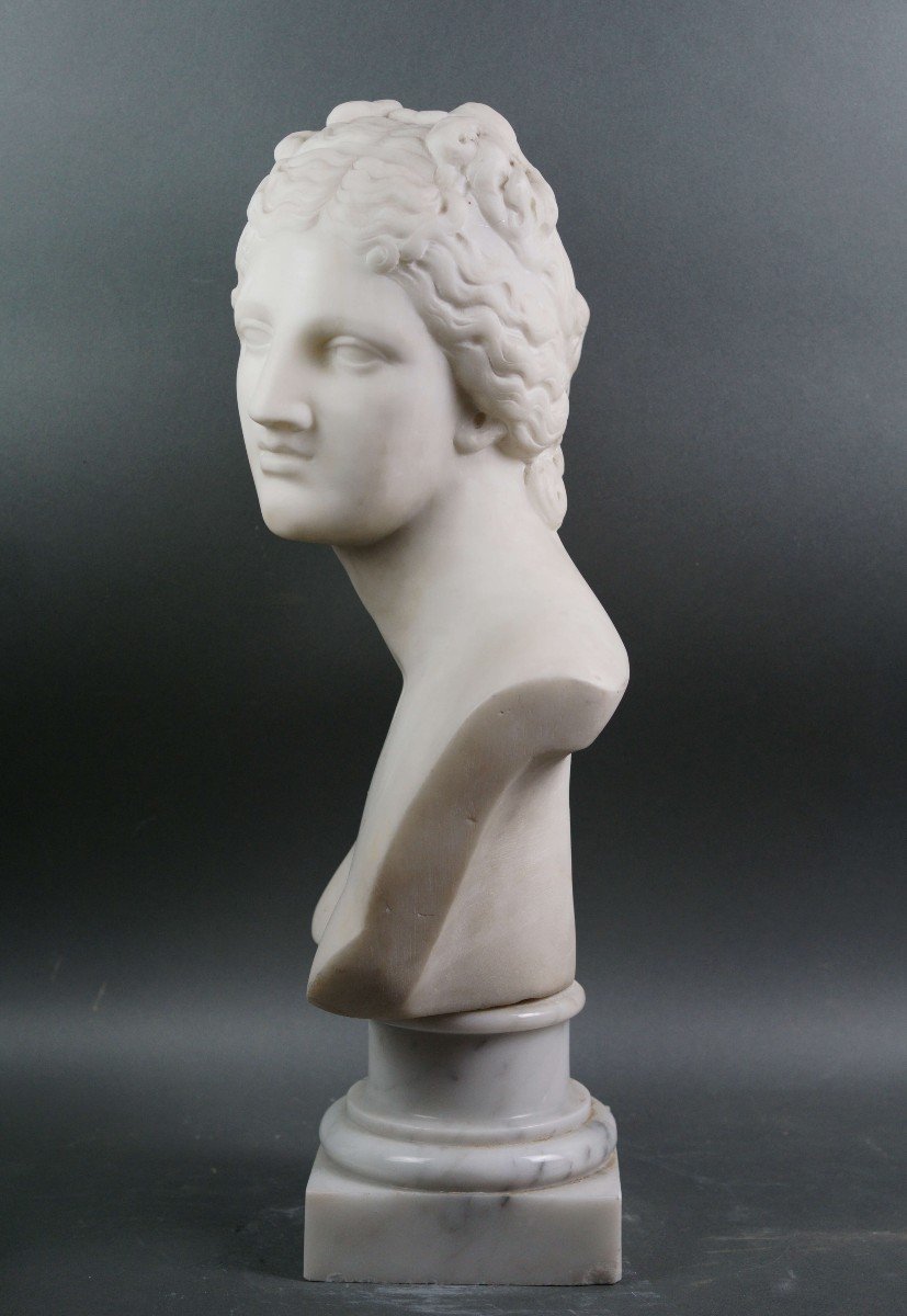 Proantic: 19th Italian Neoclassical Marble Bust Venus De Medici