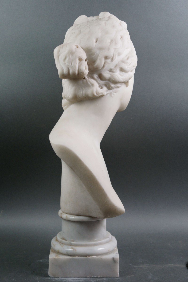 Proantic: 19th Italian Neoclassical Marble Bust Venus De Medici