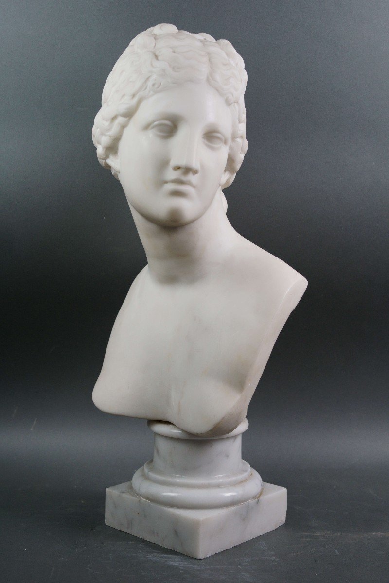 Proantic: 19th Italian Neoclassical Marble Bust Venus De Medici