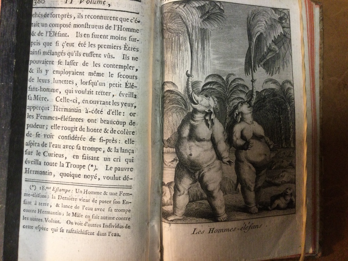 Proantic: The Southern Discovery By A Flying Man, Or The French Daedal