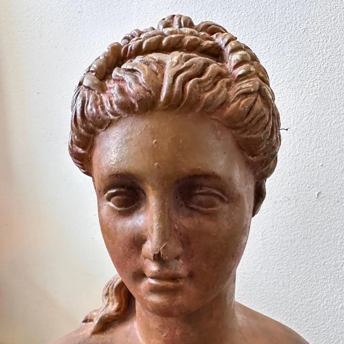 Proantic: 1900s Neoclassical Red Brick Patina Metal Italian Bust Of A