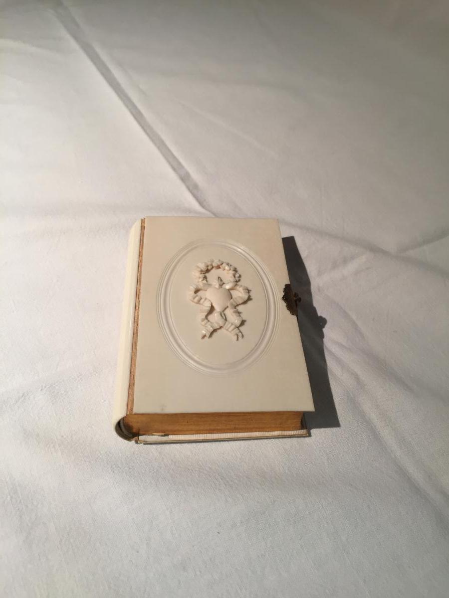 Proantic: Ivory Covered Book, 1864