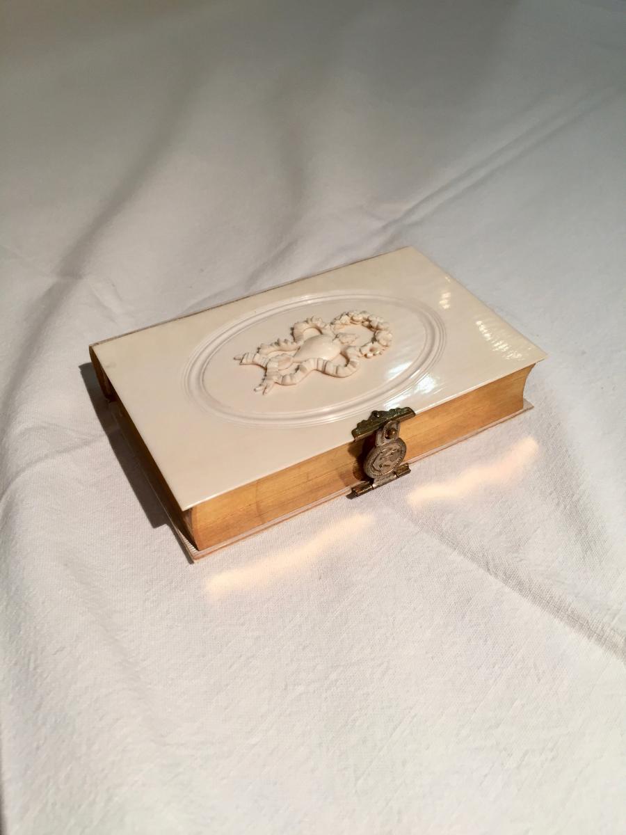 Proantic: Ivory Covered Book, 1864