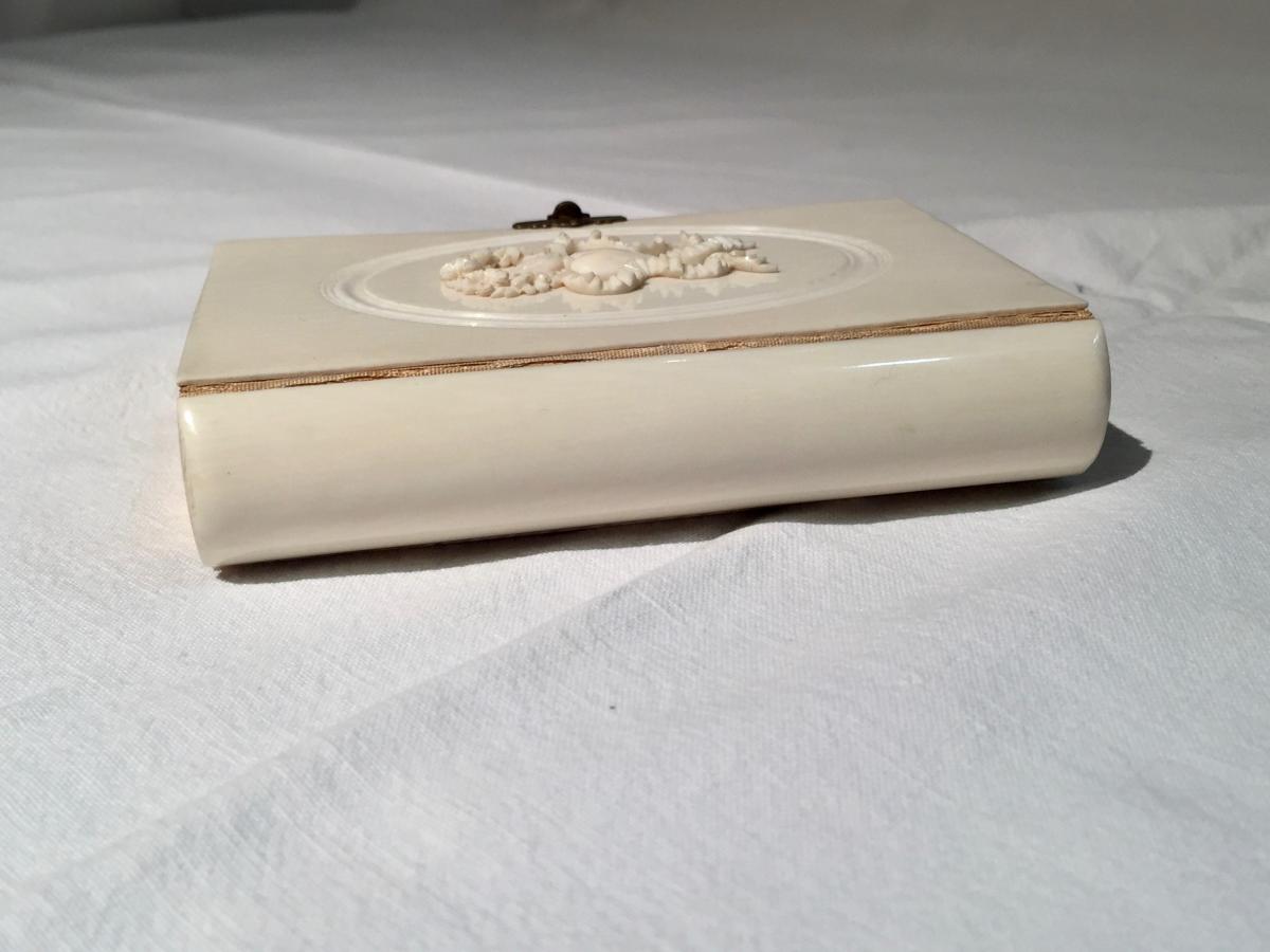 Proantic: Ivory Covered Book, 1864