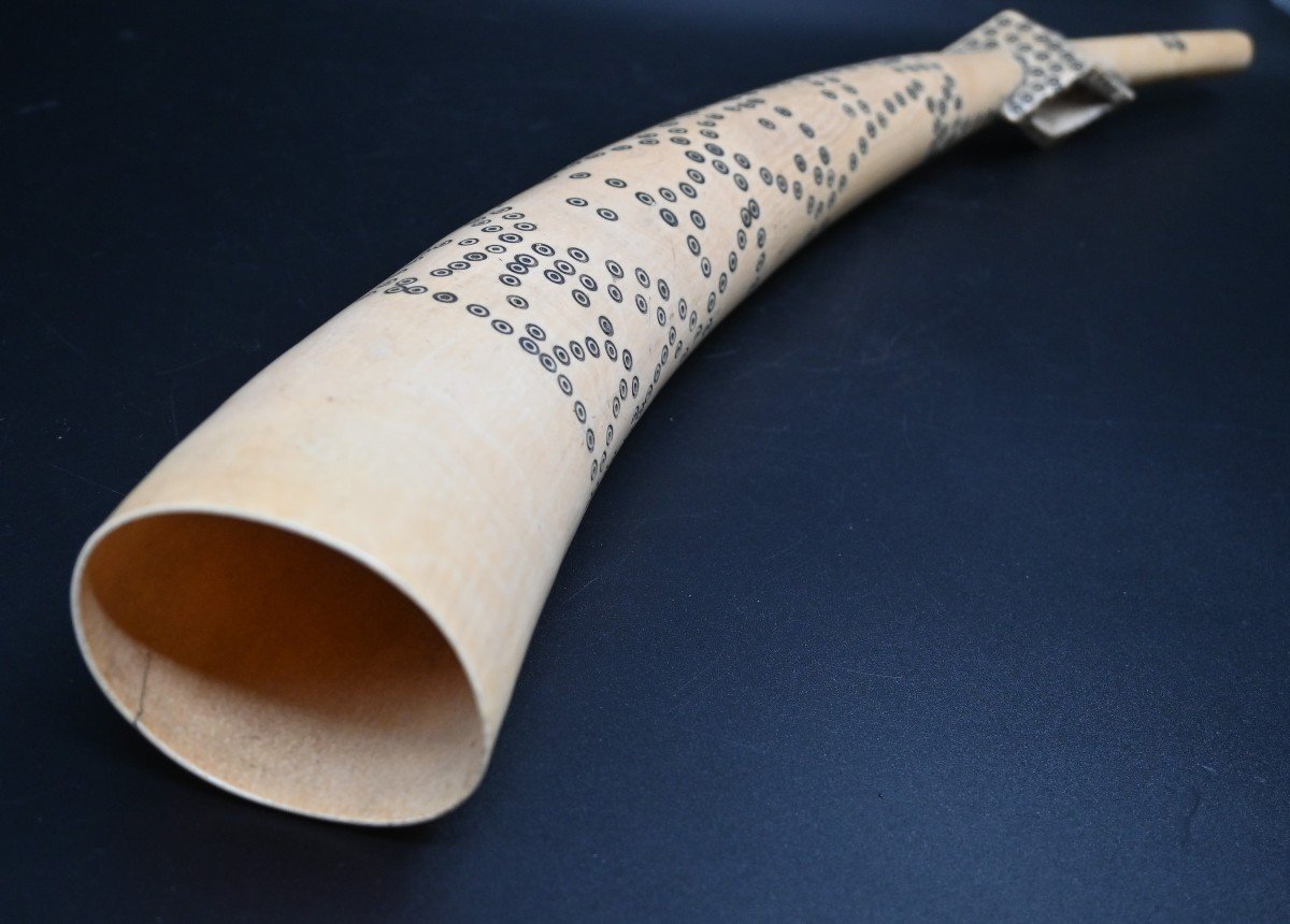 Proantic: Exceptional Trumpet From The Mangbetu, Dr Congo