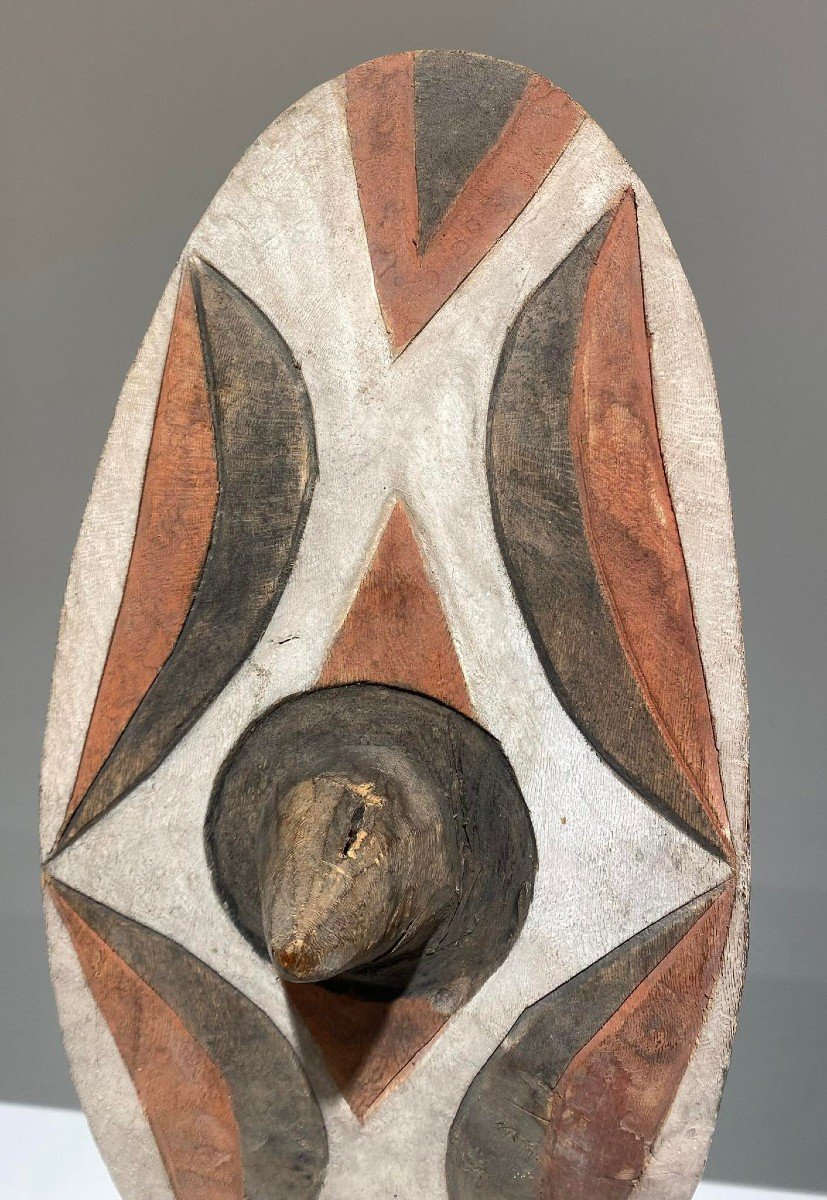 Proantic: Tutsi Shield - Rwanda - African Art - Late 19th - Early 20th