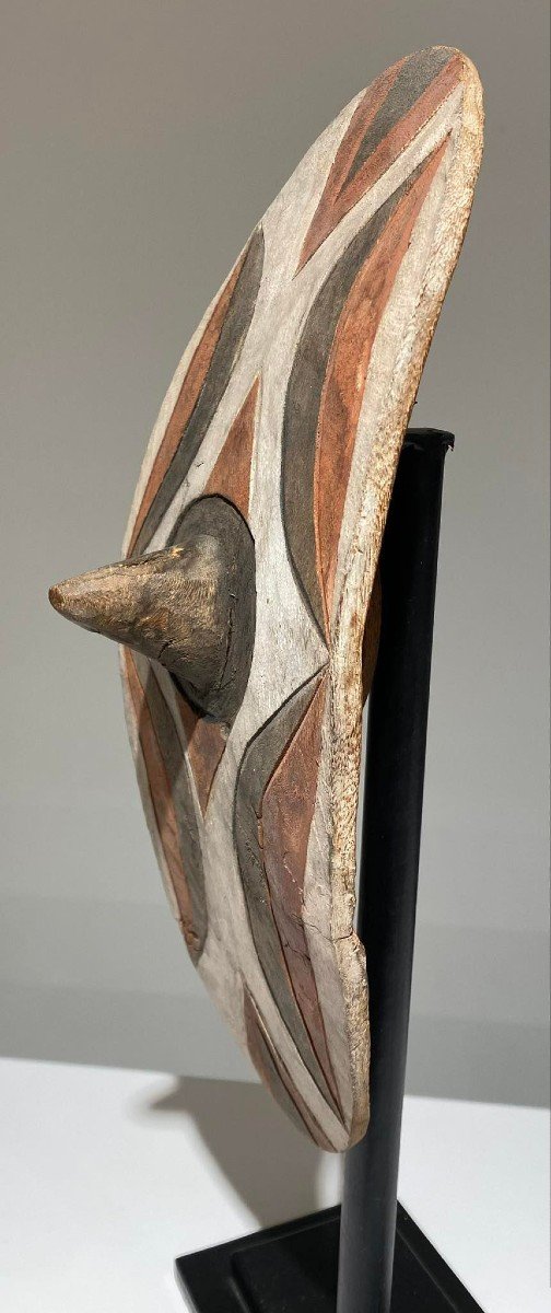 Proantic: Tutsi Shield - Rwanda - African Art - Late 19th - Early 20th