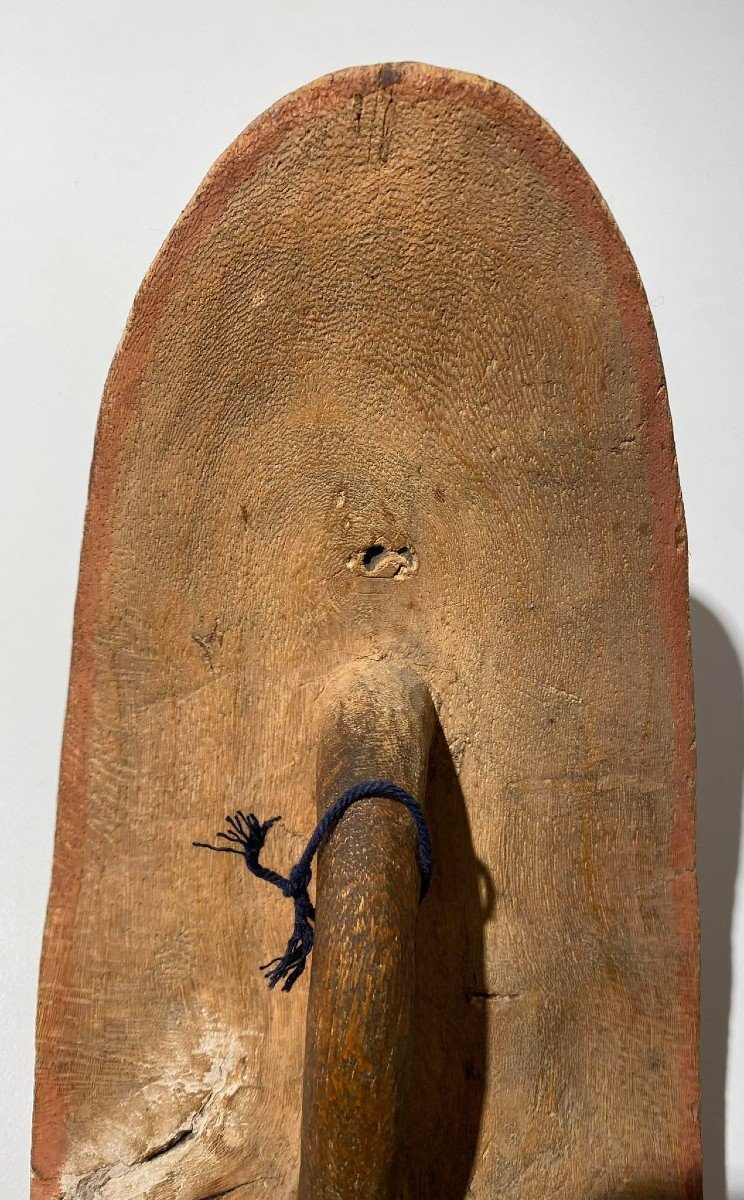 Proantic: Tutsi Shield - Rwanda - African Art - Late 19th - Early 20th