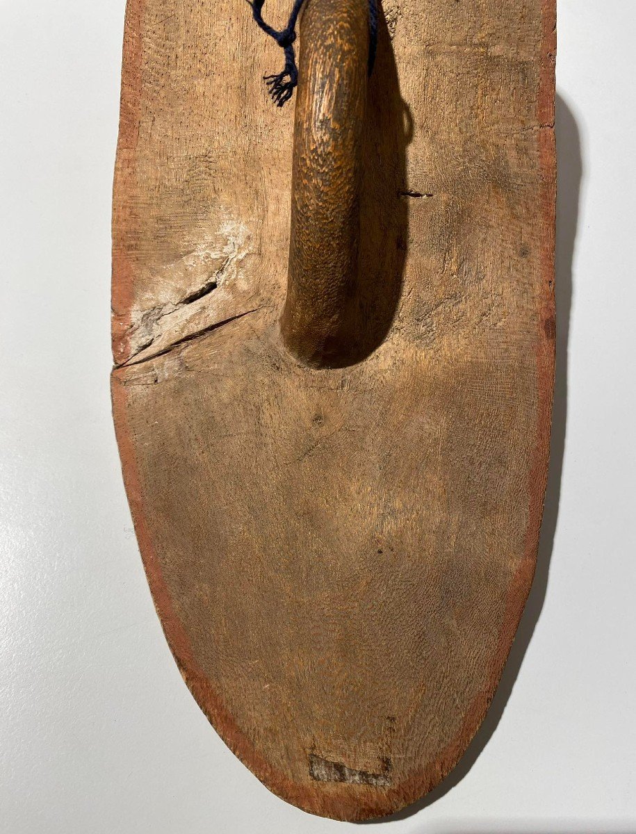 Proantic: Tutsi Shield - Rwanda - African Art - Late 19th - Early 20th