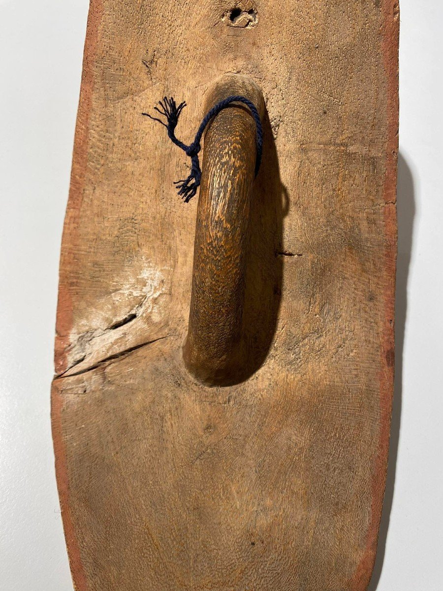 Proantic: Tutsi Shield - Rwanda - African Art - Late 19th - Early 20th