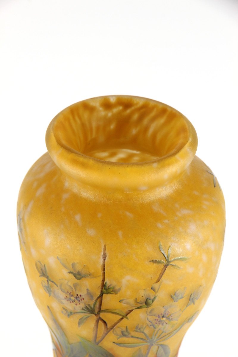 Proantic: Vase Daum Nancy (pommier)