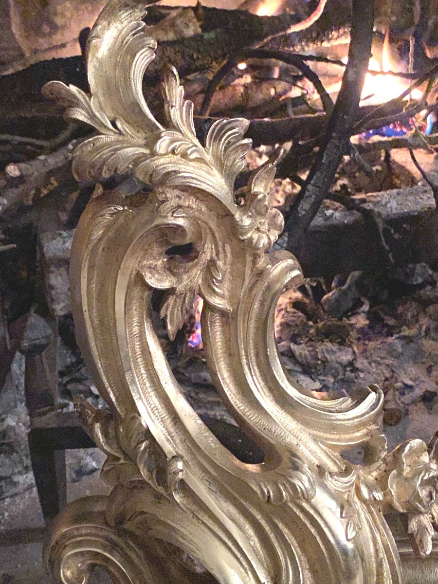 Proantic: Pair Of Andirons In Gilt Bronze Rocaille Style XIX With Supp