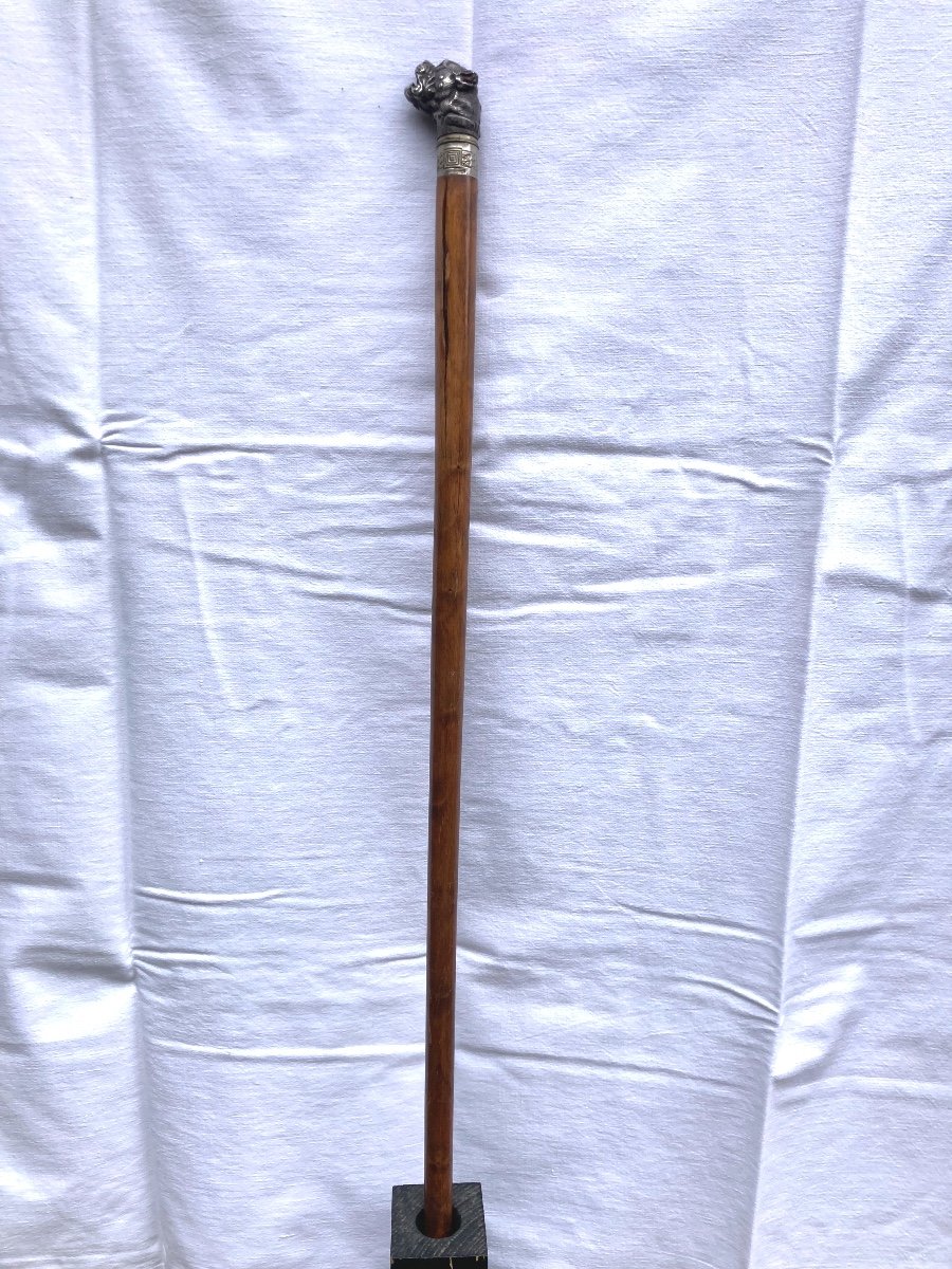 Proantic: Bulldog Cane Gun/dagger