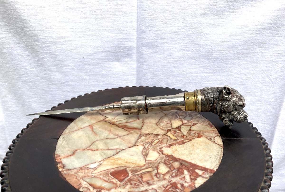 Proantic: Bulldog Cane Gun/dagger