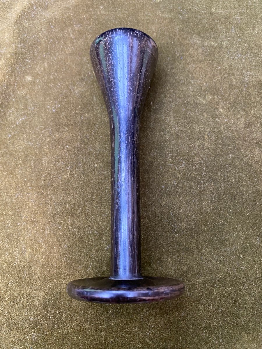 Proantic: Obstetrical Stethoscope In Horn