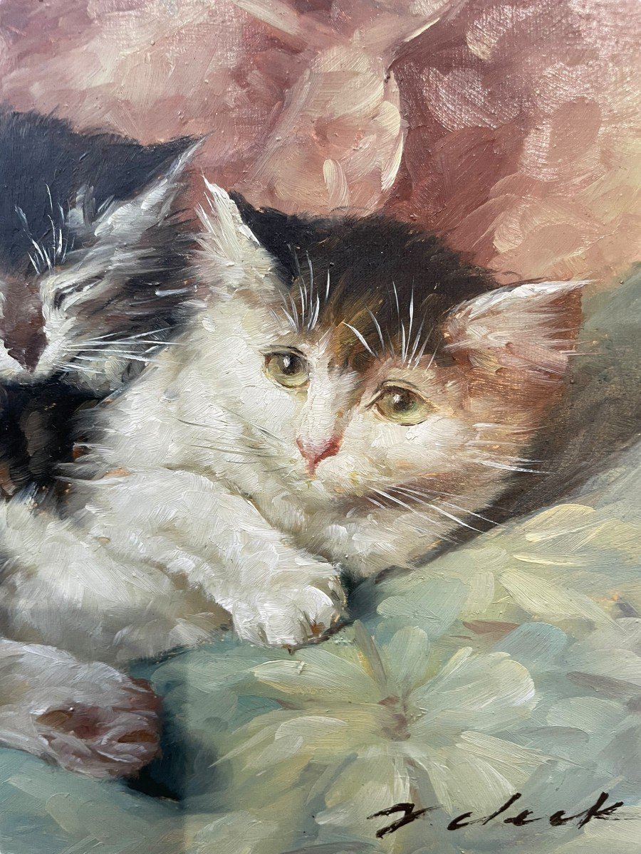 Proantic: Cats Oil On Canvas Signed J. Clech