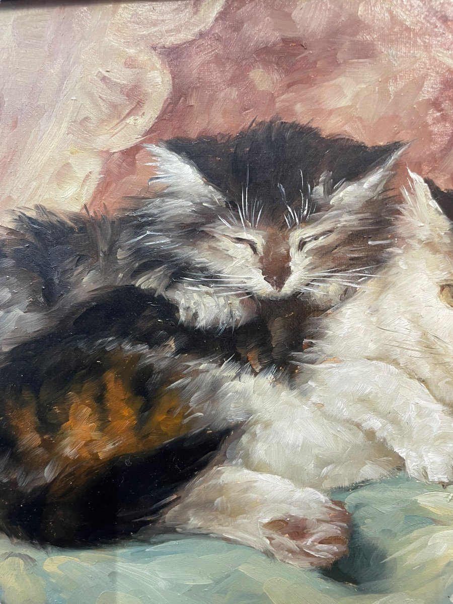 Proantic: Cats Oil On Canvas Signed J. Clech