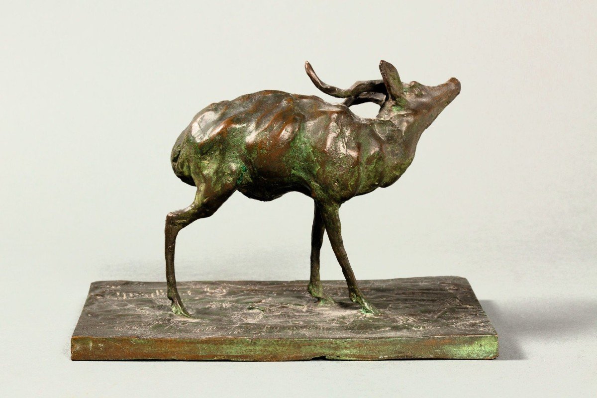 Proantic: Antelope Scratching. Animal Bronze By Guido Righetti – (18