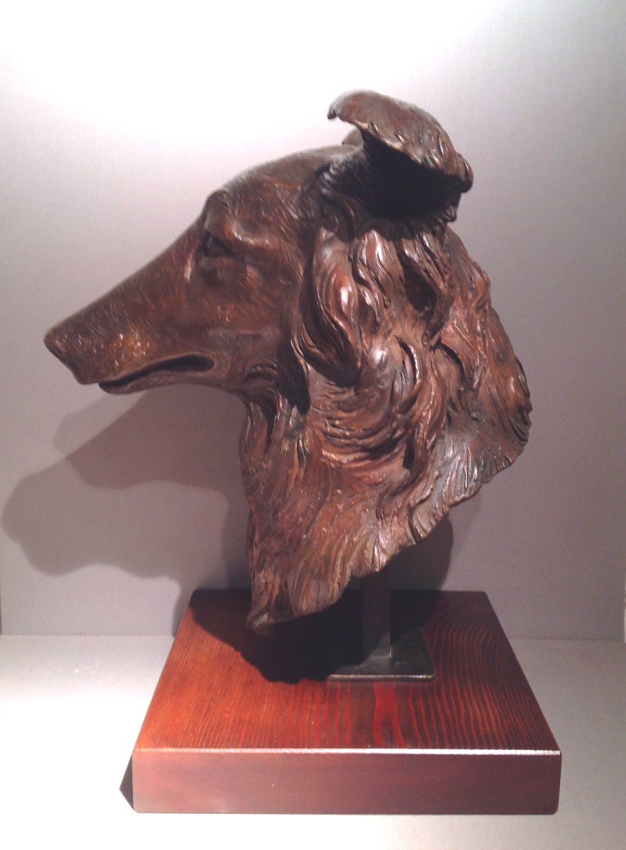 Proantic: Bronze Dog Bust From A Border Collie By Ettoe Cedraschi, Ita