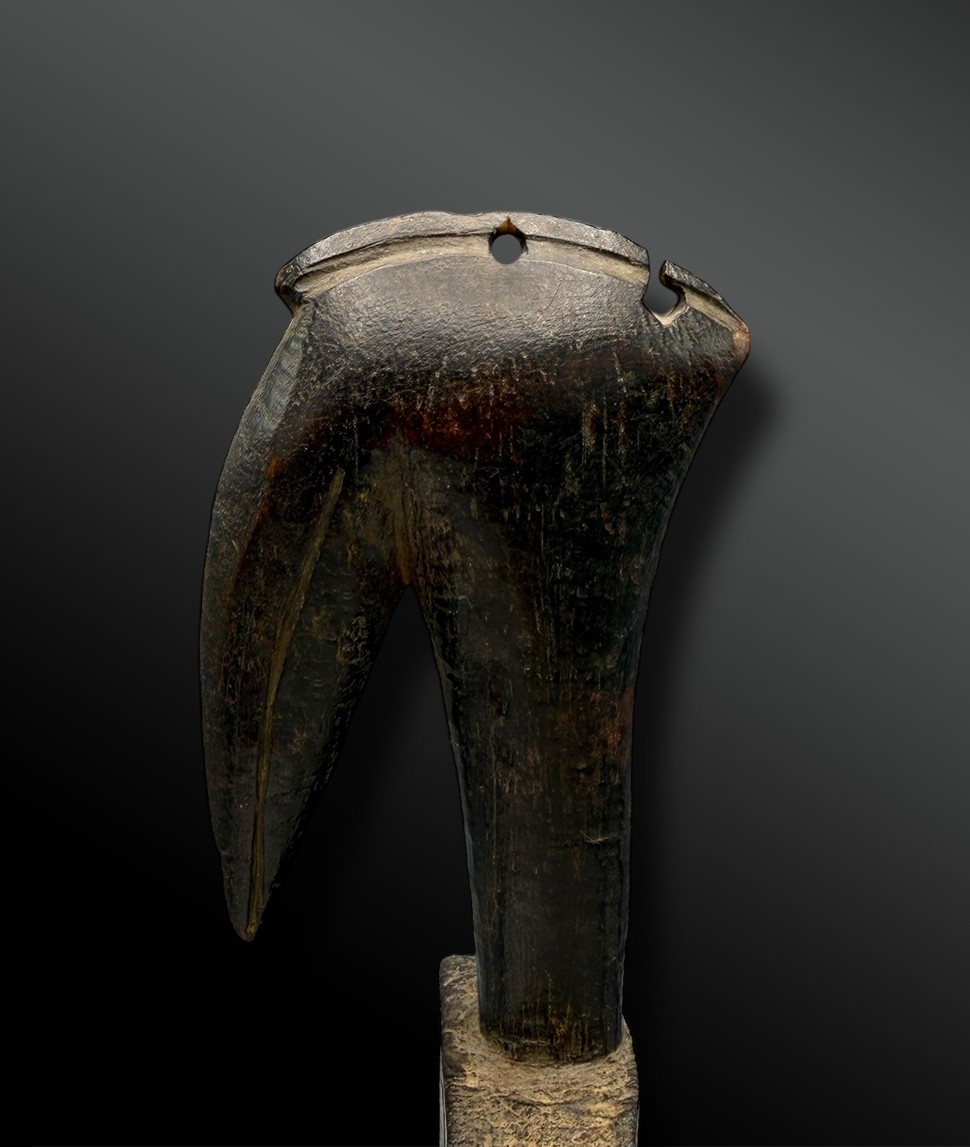 Proantic: Pulley Stirrup For A Weaving Loom, Animated By A Hornbill He