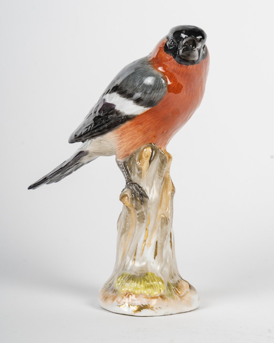 Proantic: Meissen: Bulch Porcelain Bird, 19th Century