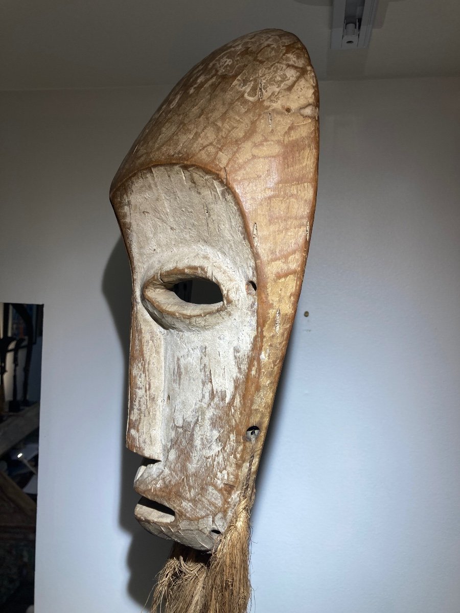 Proantic: Large Lega Mask