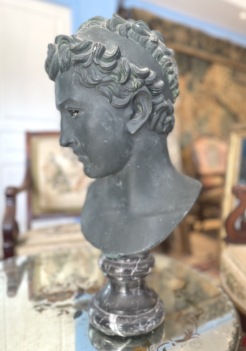 Proantic: Apollo, Plaster Bust With Bronze Patina