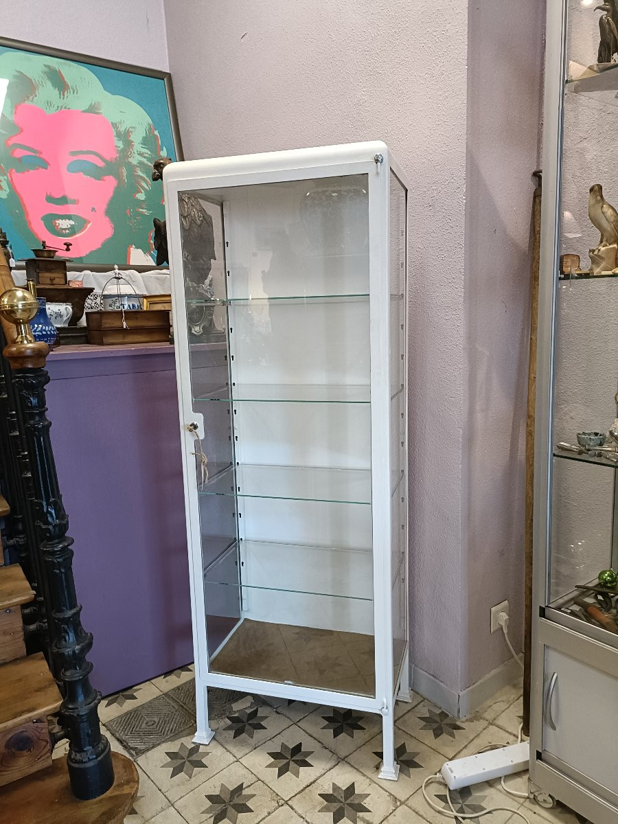 Proantic: Medical Display Case - 1950s