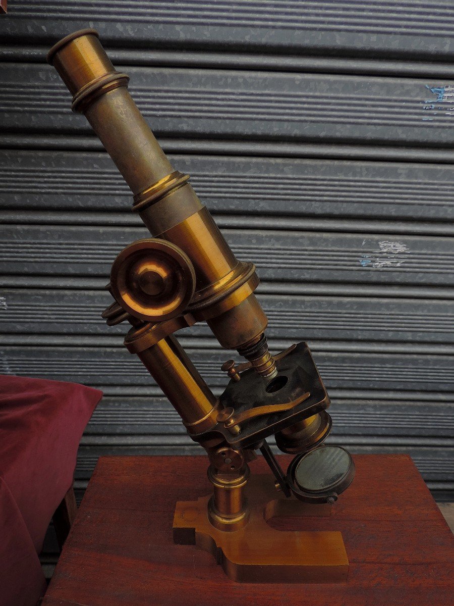 Proantic: German Microscope, Late 19th Century