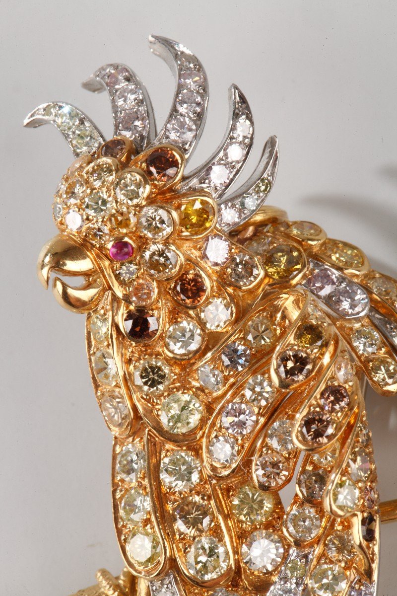 Proantic: Parrot Pendant
