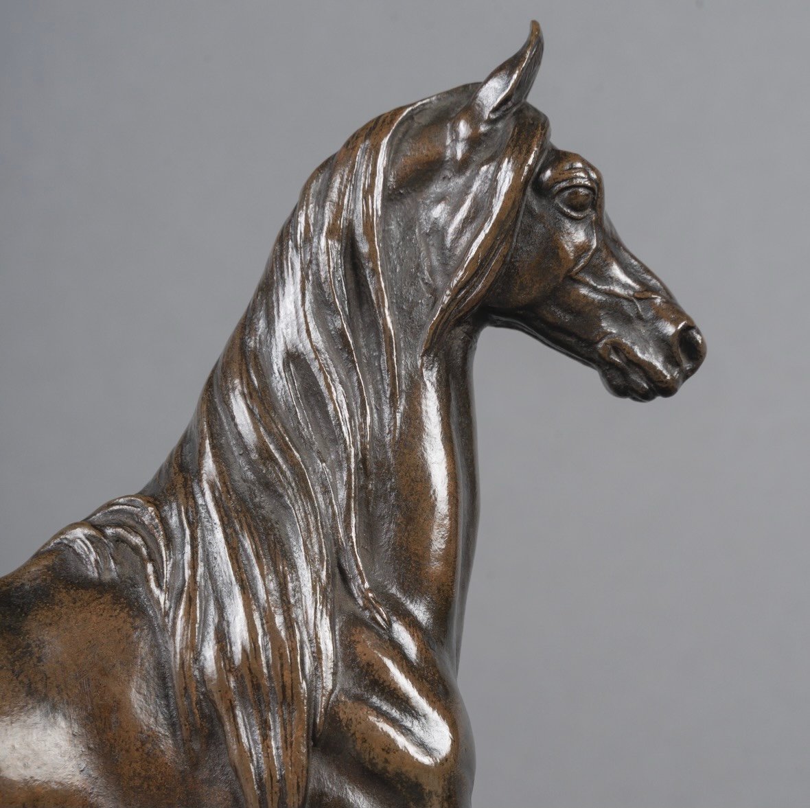 Proantic: Sculpture - Raised Front Horse , Alfred Barye (1839-1895)