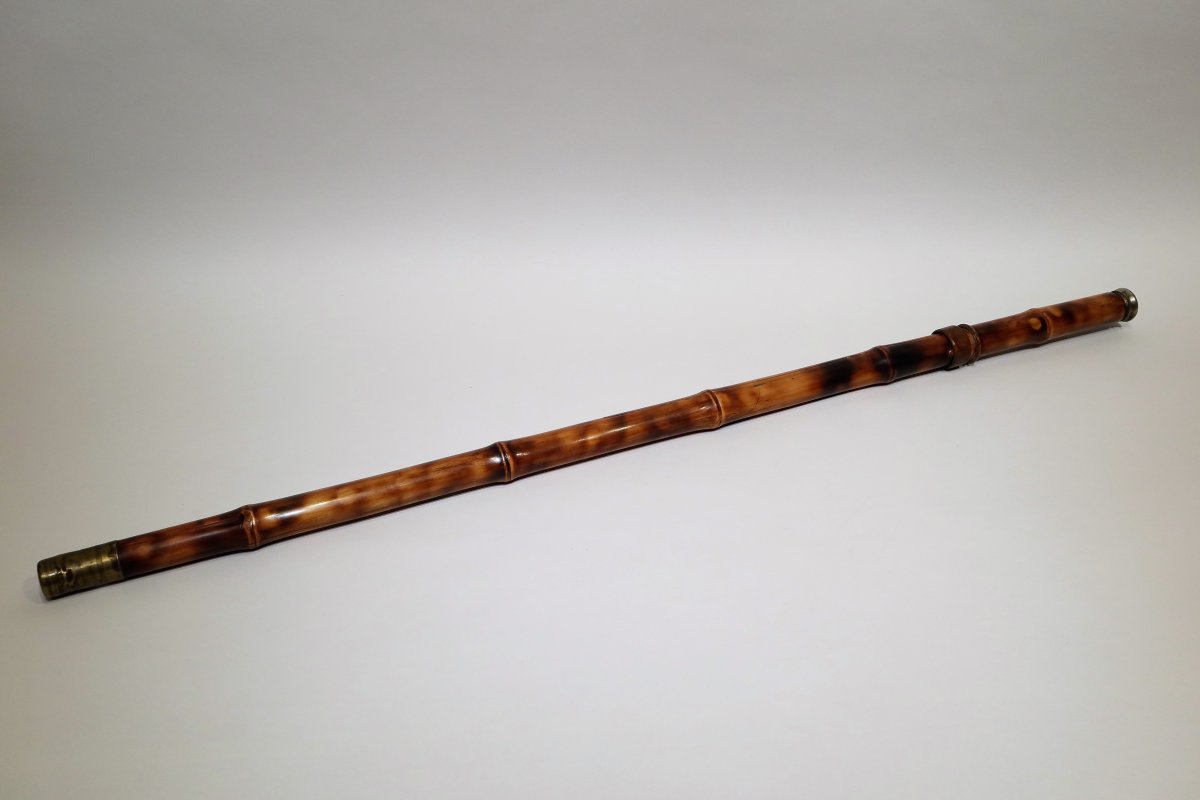 Proantic: Gadget Cane For Watercolor Artist With Brushes, Palette And
