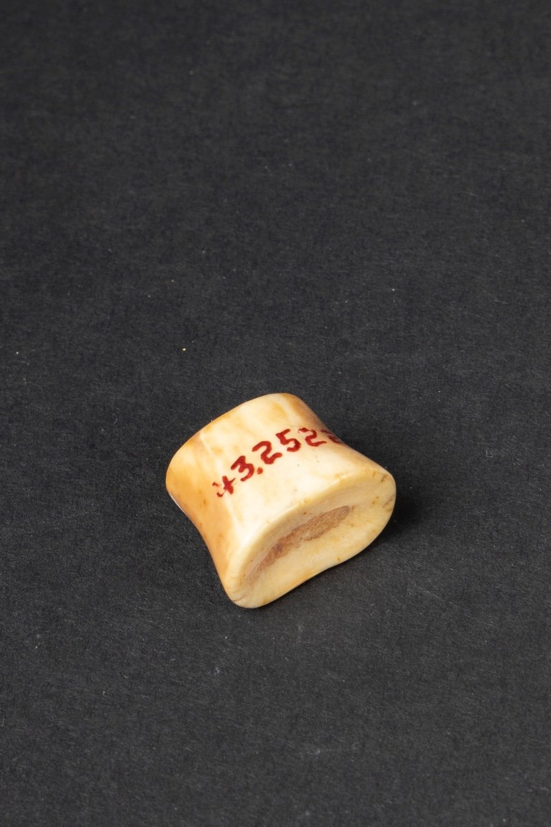 Set Of Labrets And Other Eskimo Objects