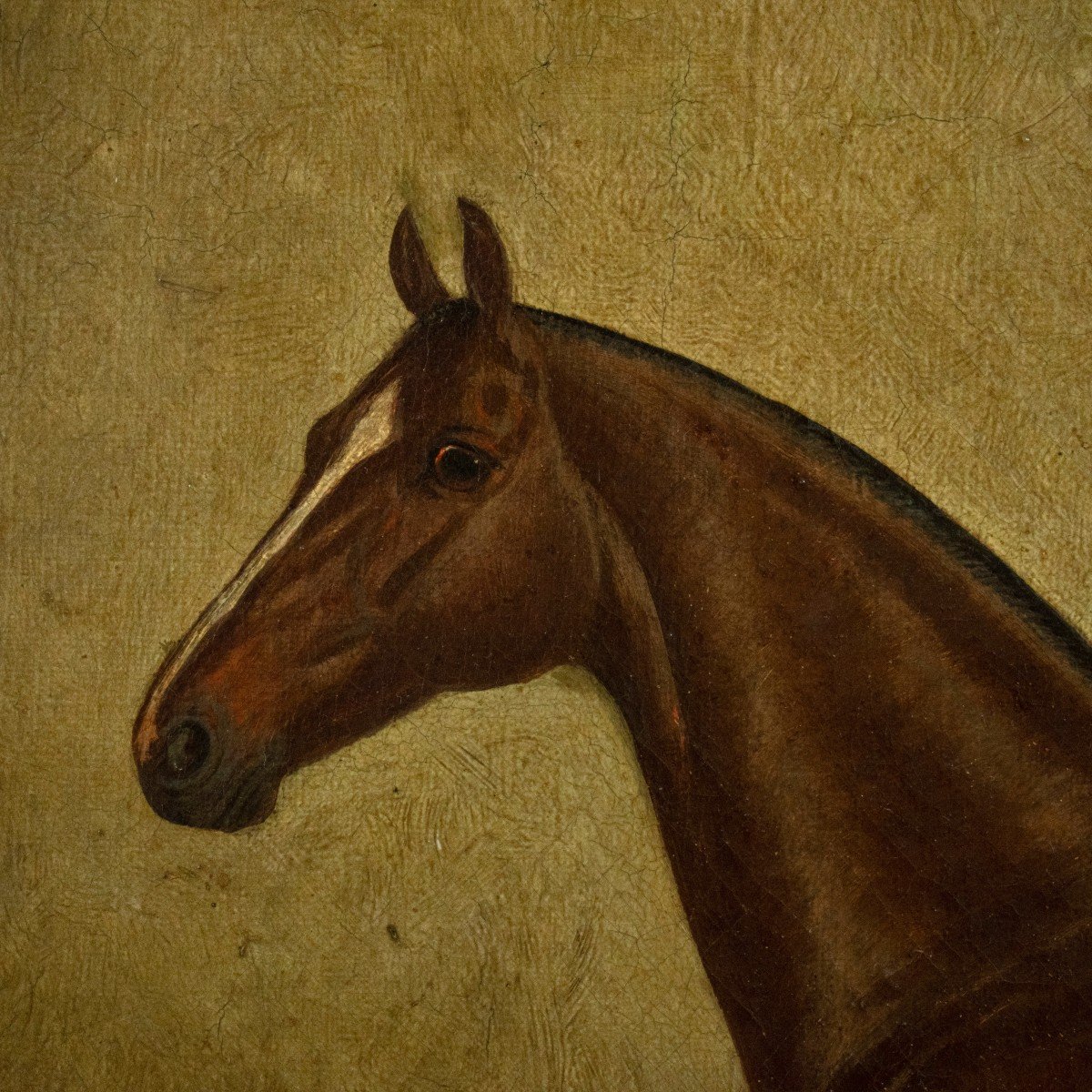 Proantic: Albert Clark Dated 1900 - Oil On Canvas Portrait Of The Hors