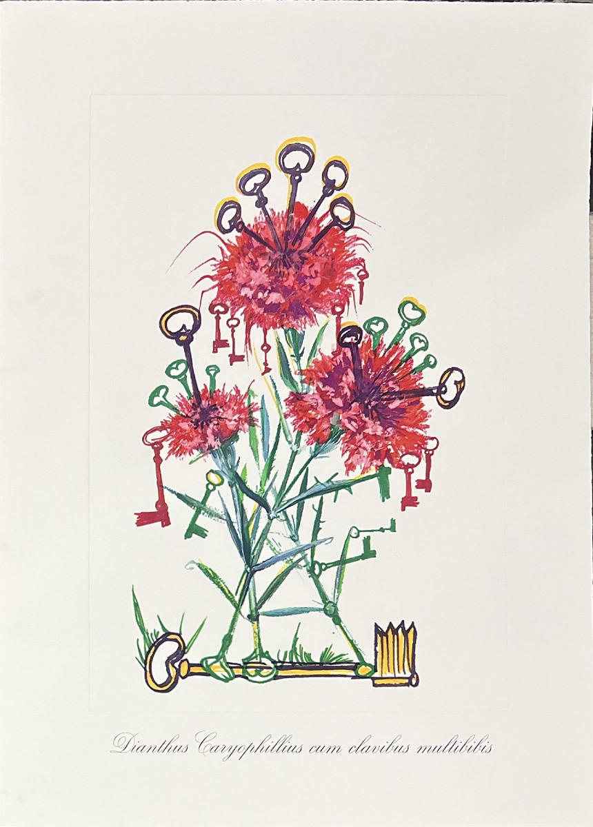 Proantic: Salvador Dali - Surrealist Flowers - Suite de 12 Lithographi