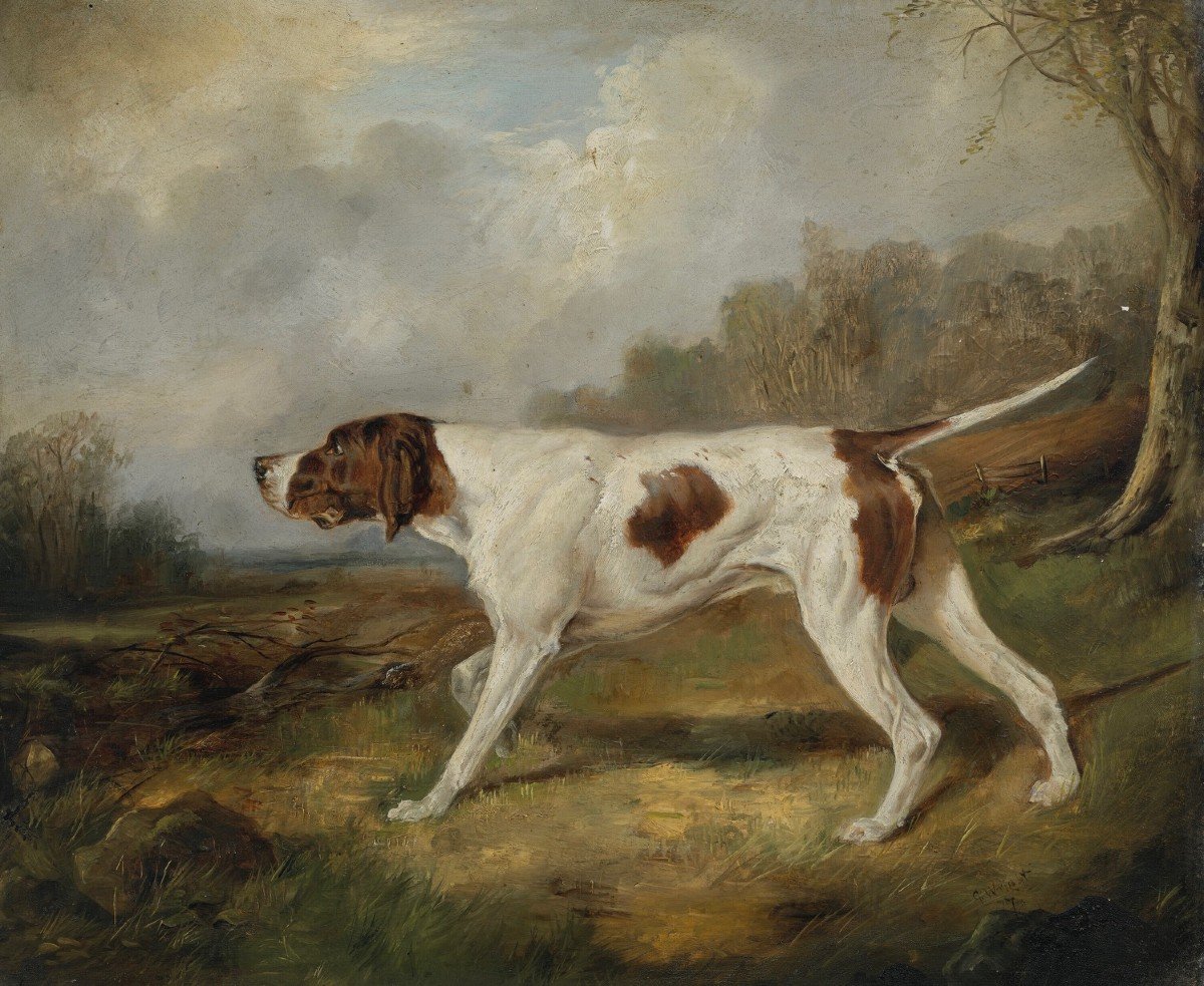 Proantic: A Pair Of 19th Century Paintings Of A Setter And A Pointer D