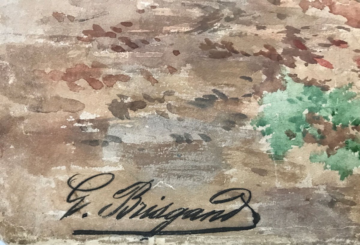 Gustave Brisgand: In The Undergrowth, Watercolour, Drawing