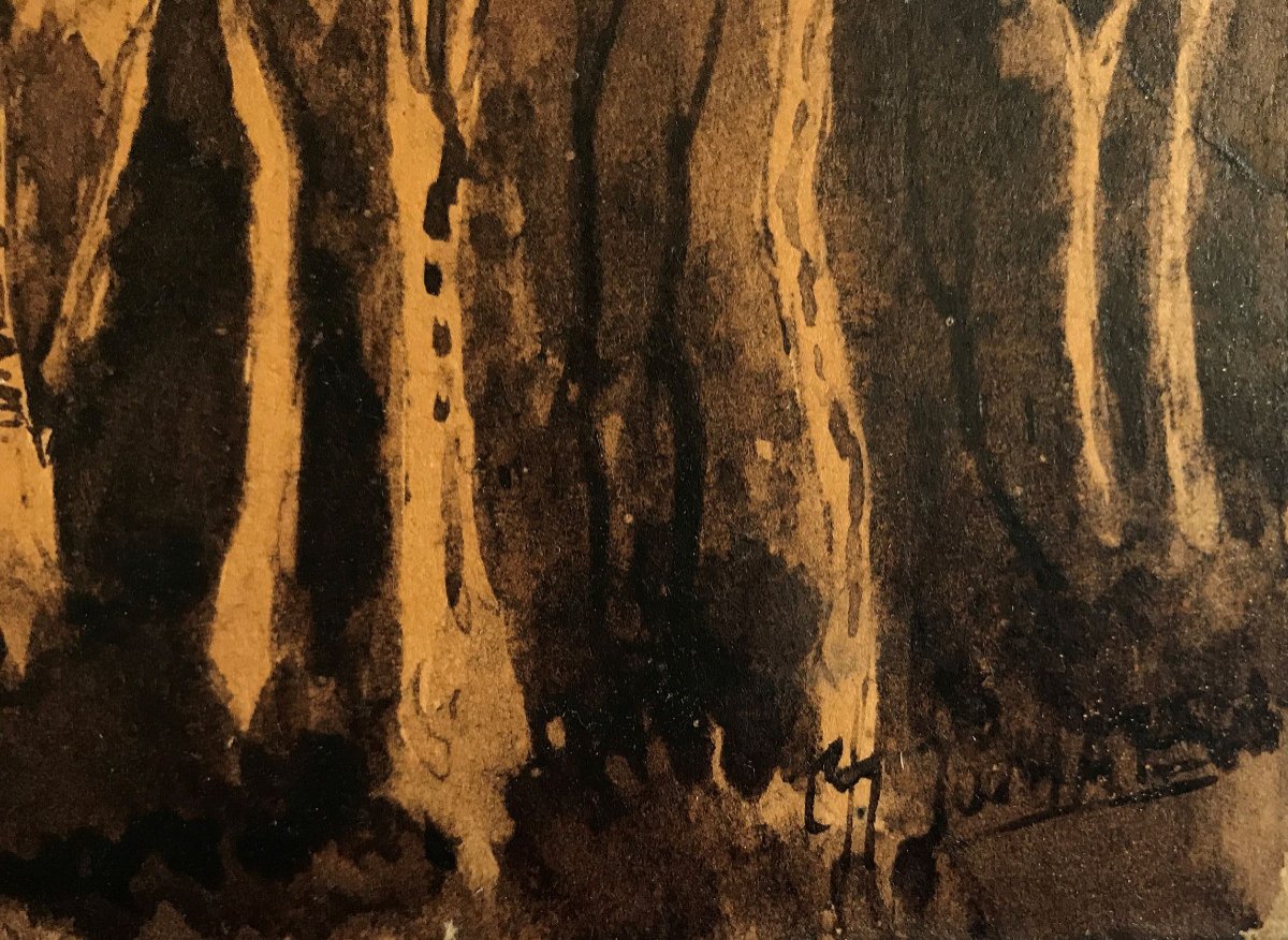 Proantic: A Pond Shore, Drawing