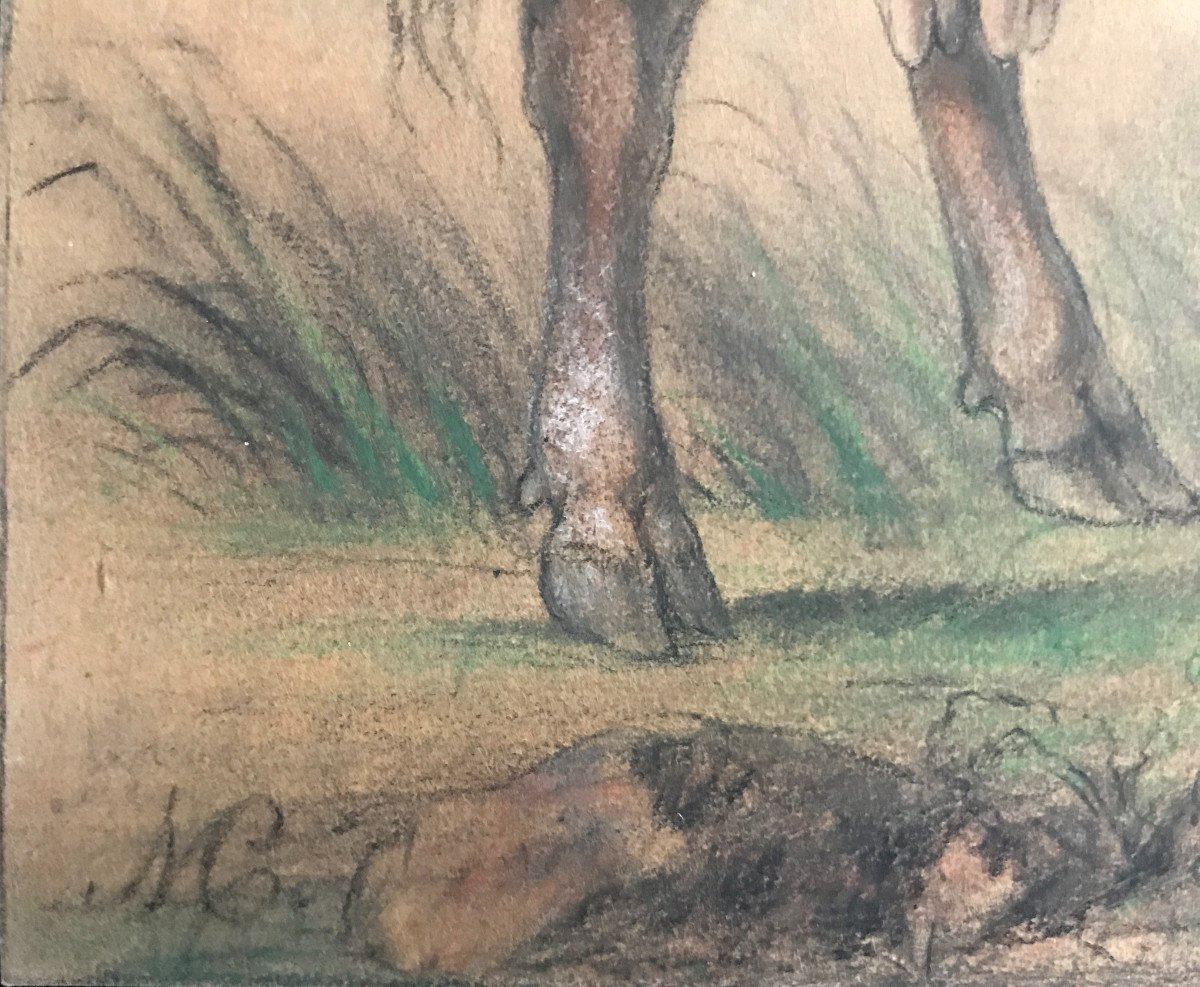 Proantic: Study Of A Cow, Pastel, Drawing