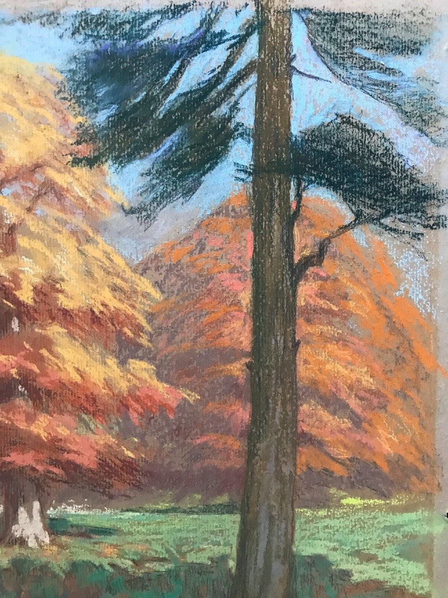 Proantic: Raymond Martinez: A Wooded Path, Pastel, Drawing