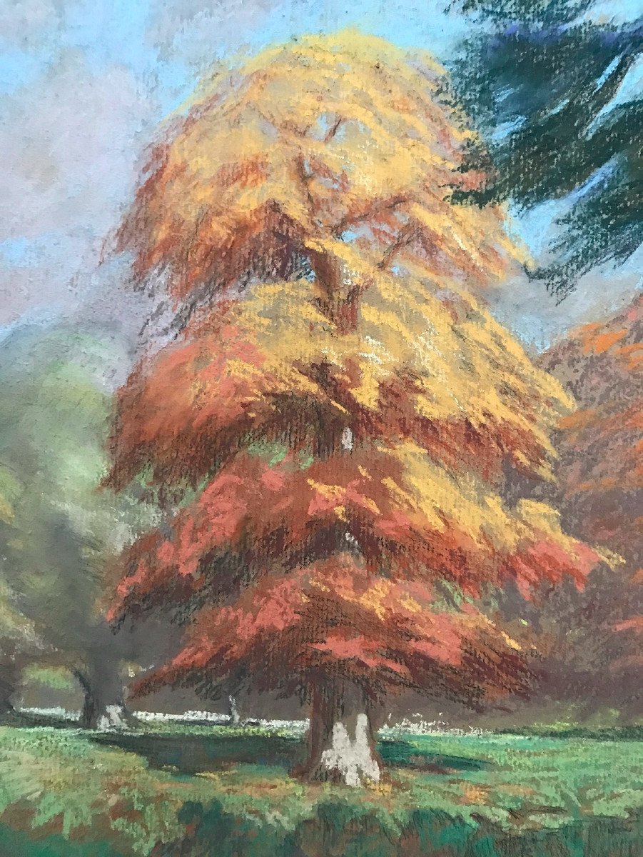 Proantic: Raymond Martinez: A Wooded Path, Pastel, Drawing