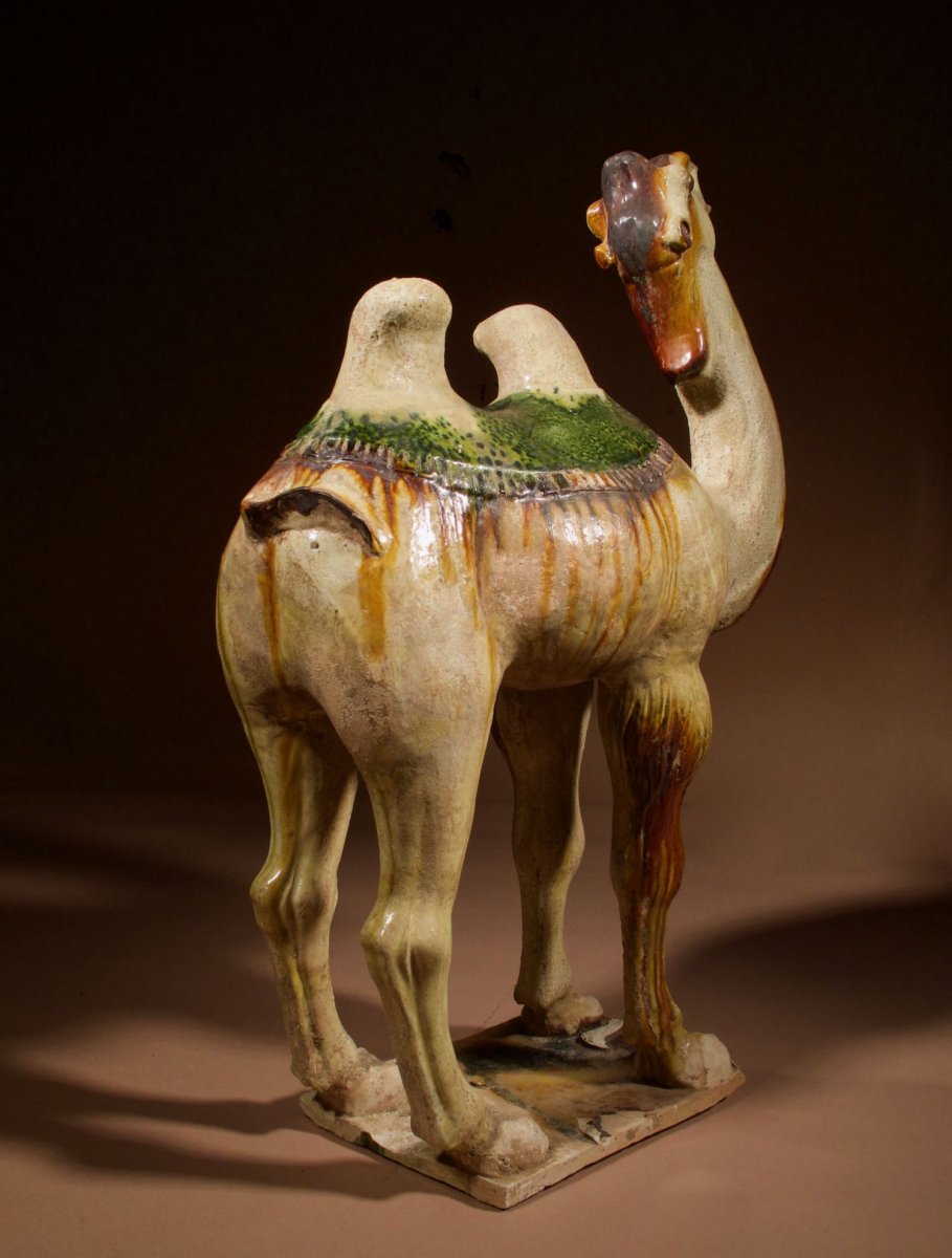 Proantic: An Original Beautiful Sancai Glazed Tang Camel, Tang Dynasty