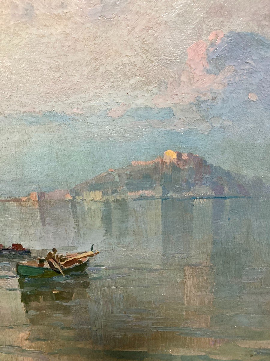 Proantic: Decorsi Nicola