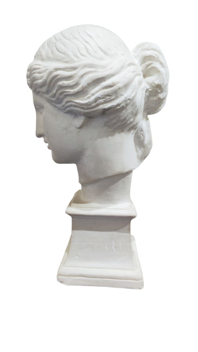 Proantic: Neoclassical Plaster Bust Of The Venus De Milo