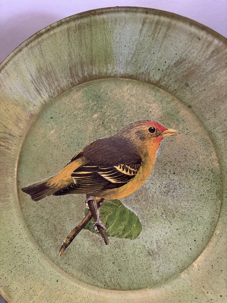 Proantic: Original Cut-out Plate Set Under Glass With A Bird Motif 3