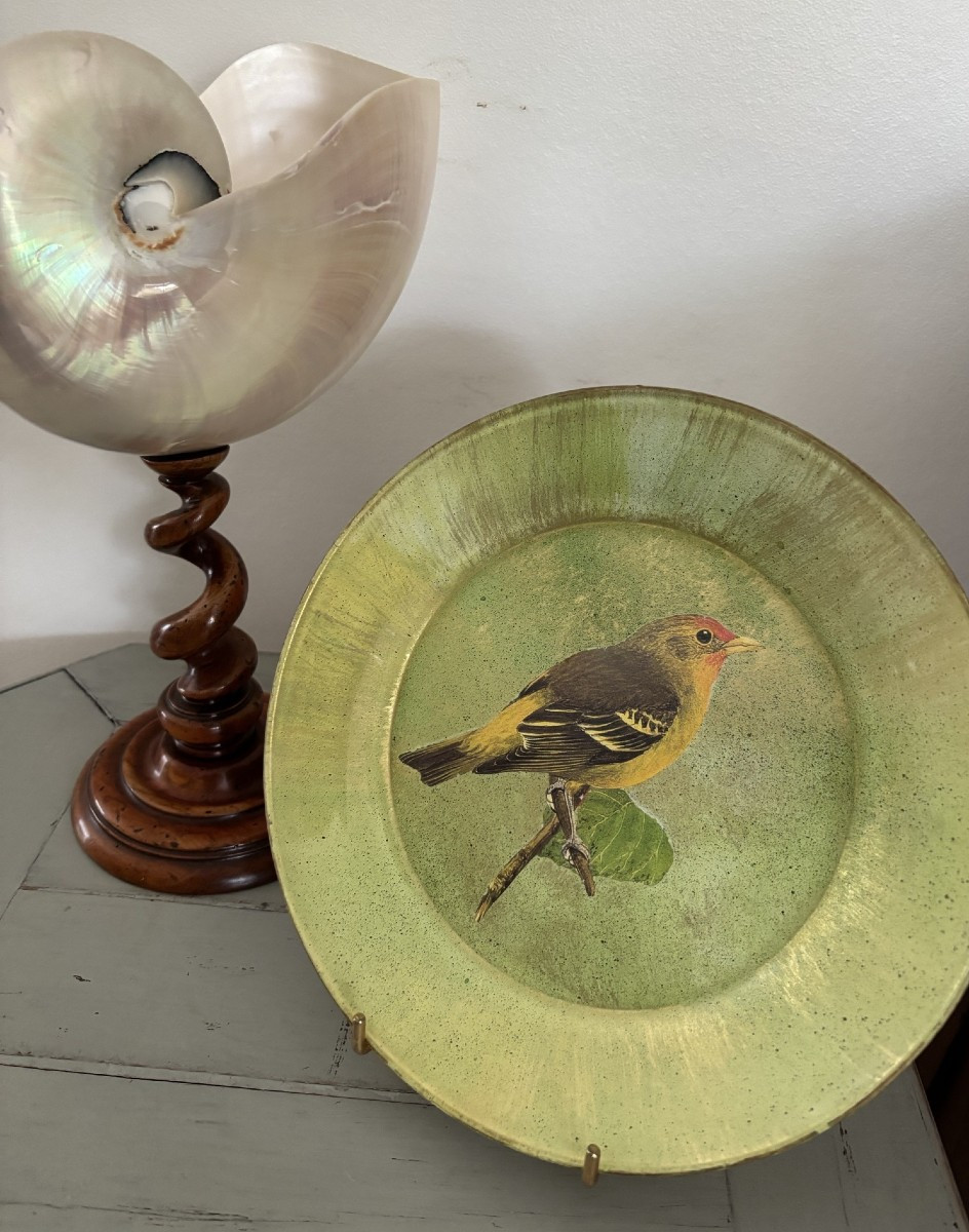 Proantic: Original Cut-out Plate Set Under Glass With A Bird Motif 3