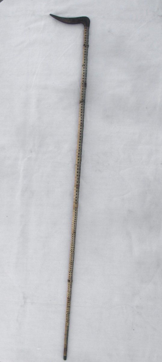 Proantic: Cane Called Captain Or Cap-hornier 19th